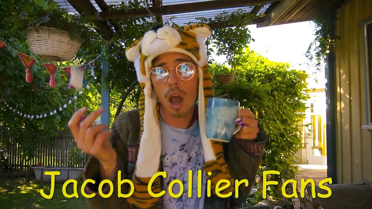 LIFE OF A JACOB COLLIER FAN - YouTube