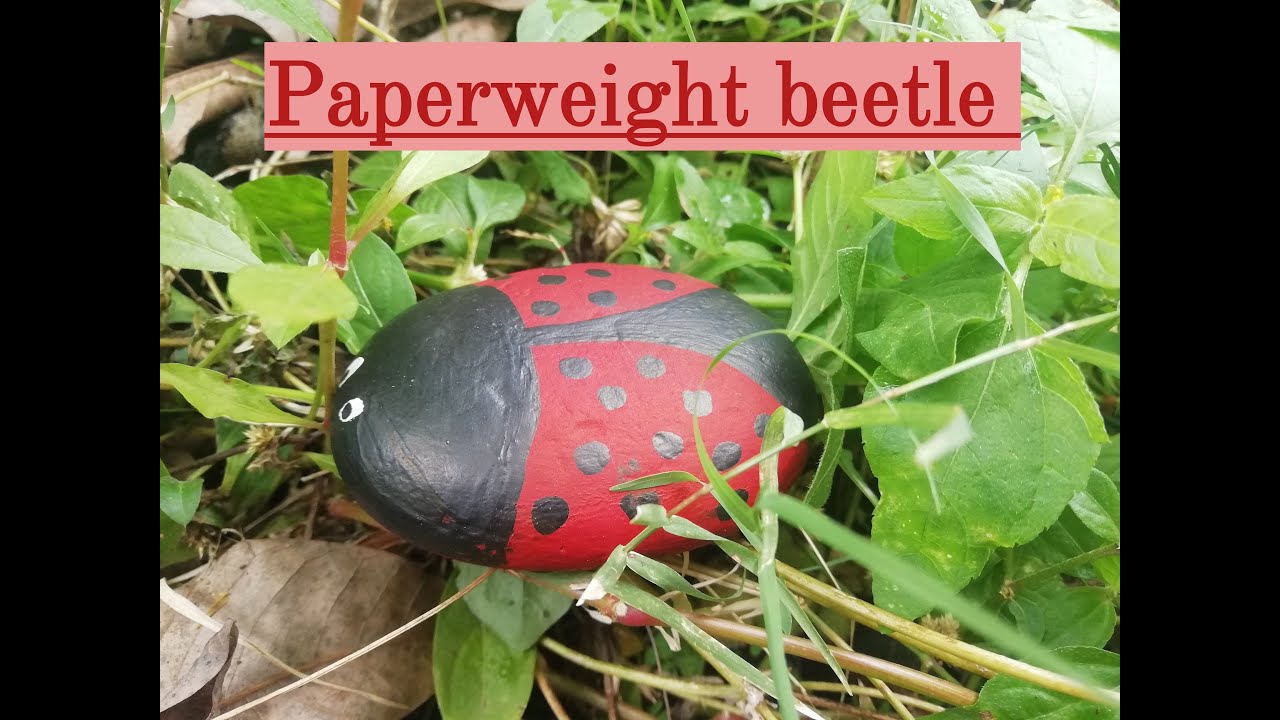Paperweight beetle: Pebble painting - YouTube