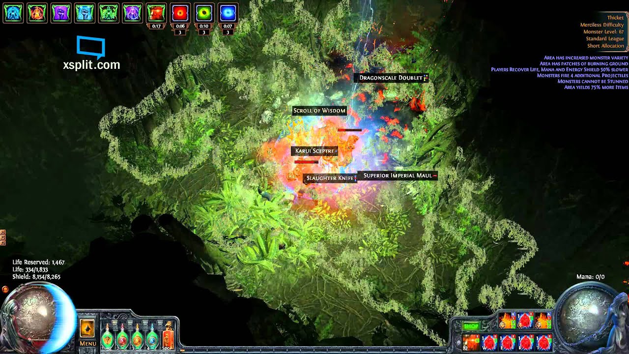 Path of Exile - Standard League - Speed Map Run - Thicket - YouTube