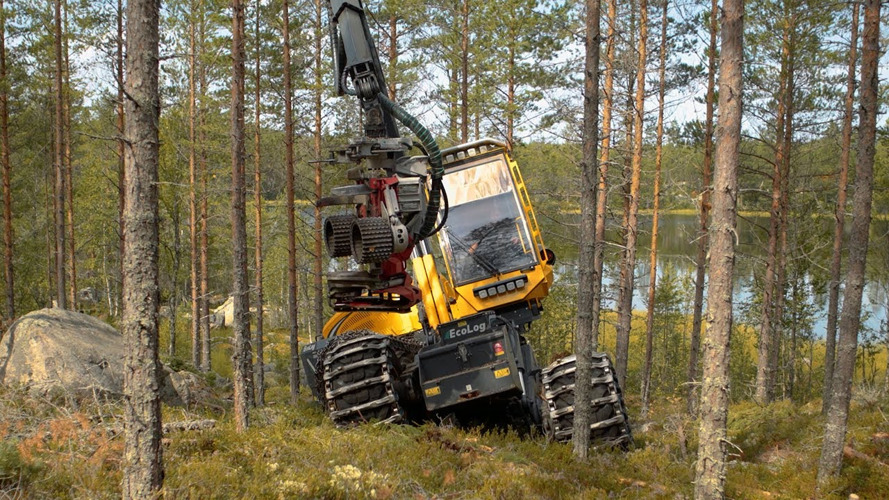 Eco Log Harvesters, 500-series - pendulum arms and levelling - YouTube