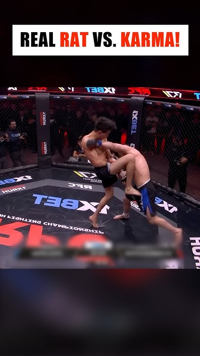 A Real Rat Act! - YouTube