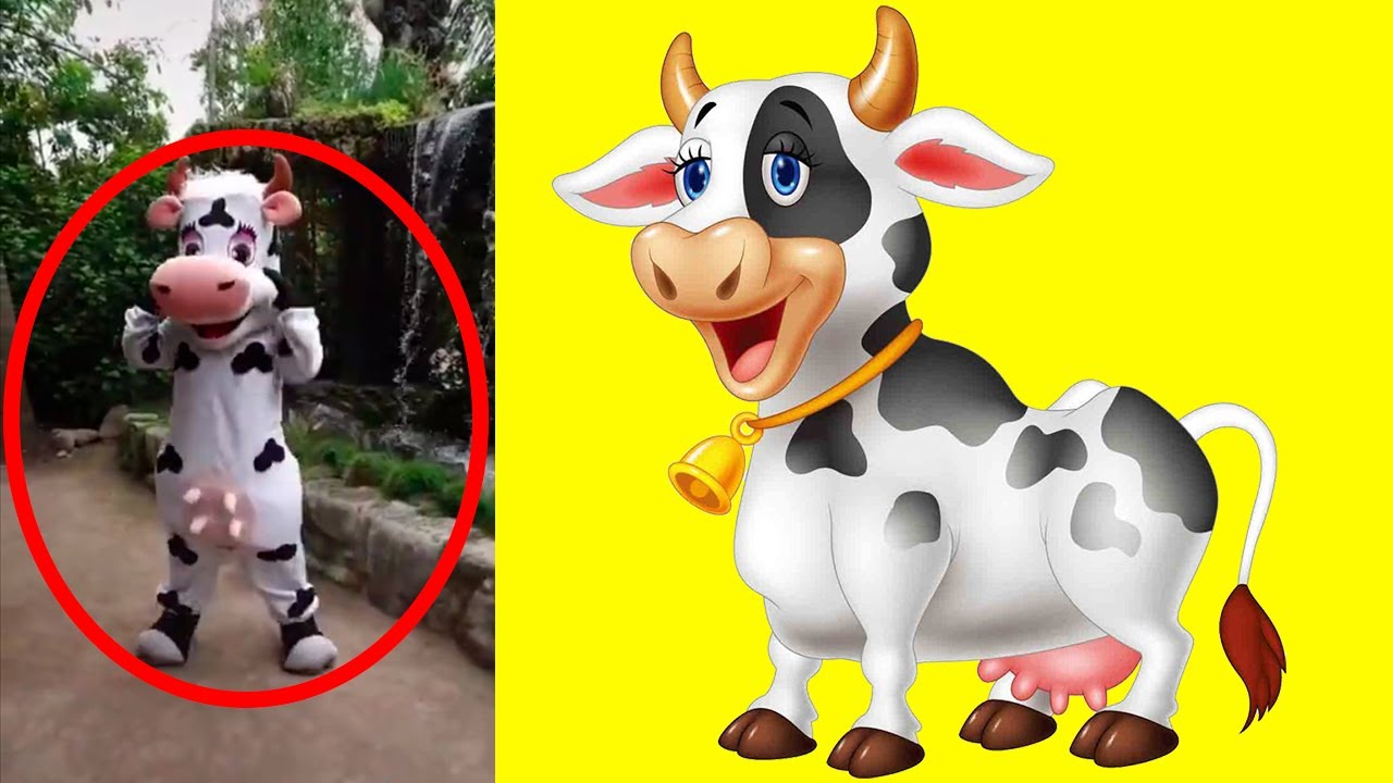5 Vaca Lola Captados En Cámara y Vistos En La Vida Real - YouTube