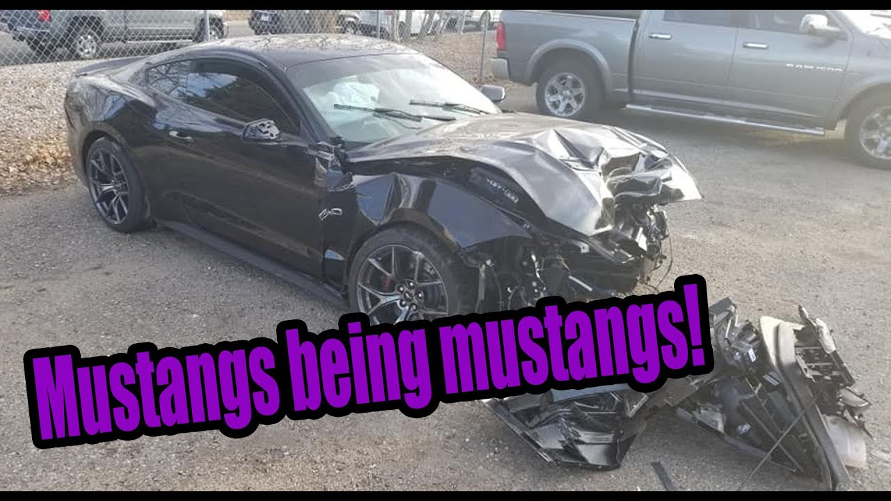 Mustangs doing mustang things! Crashing! - YouTube