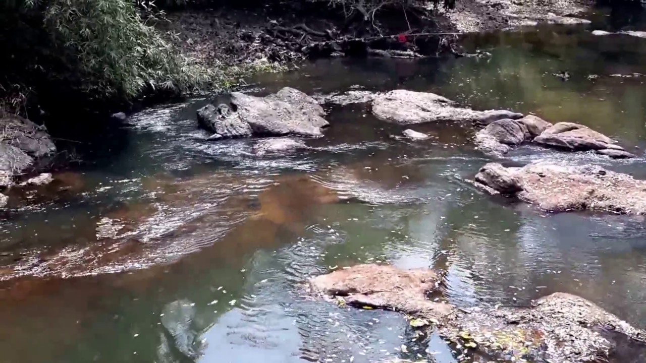 Oshun - Oshogbo River - YouTube