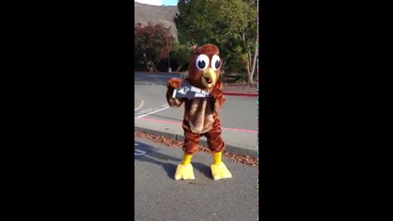 Introducing the Indian Valley Elementary School Hawk Mascot! - YouTube