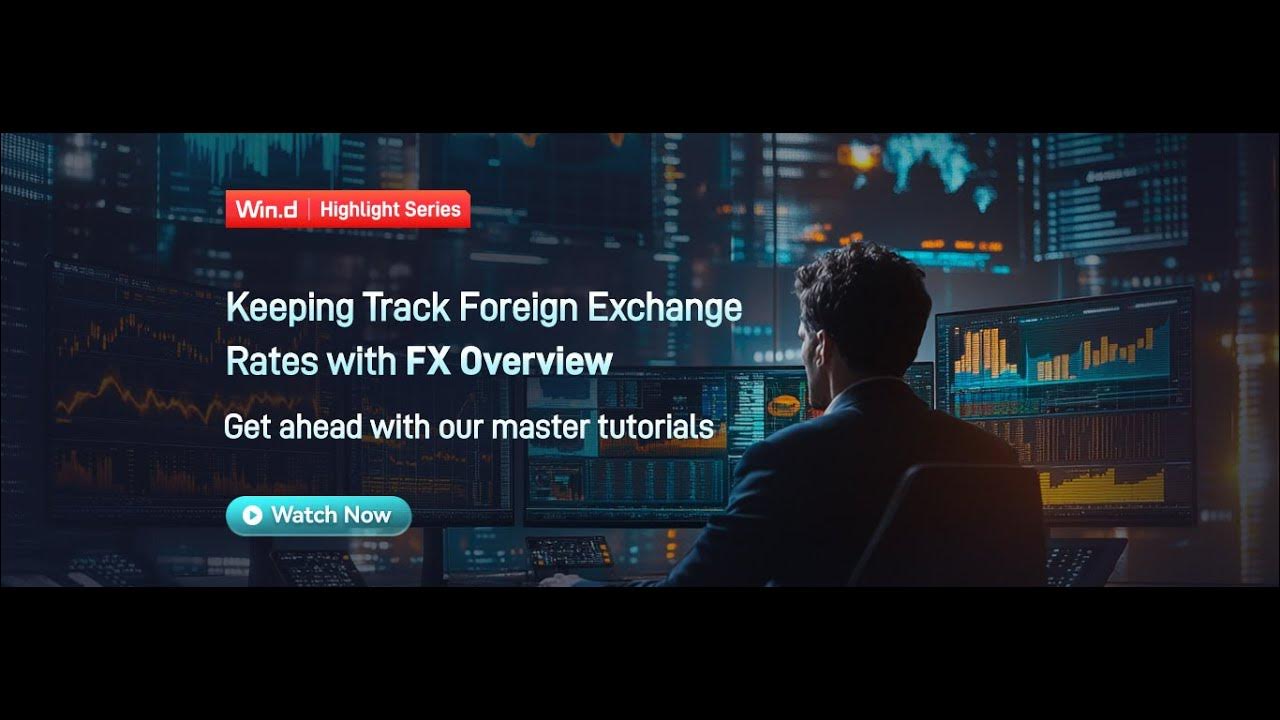 Keeping Track Foreign Exchange Rates with FX Overview - YouTube