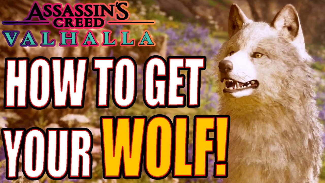 Assassin's Creed Valhalla: How to get your Wolf! - YouTube