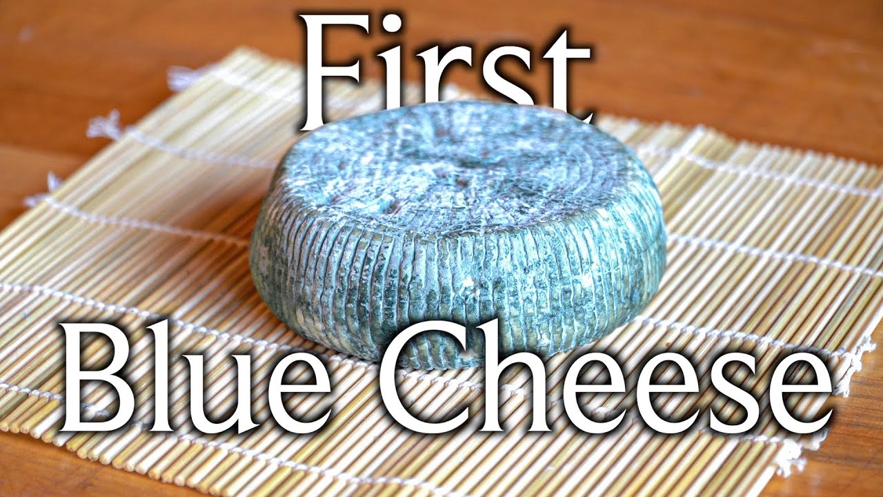 Bringing Back Natural Cheese – Our First Attempt At Making Blue Cheese ...