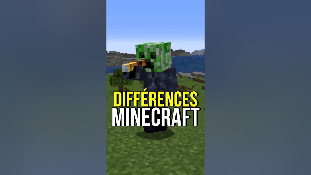 Les plus GRANDES différences entre Minecraft Java et Bedrock 😲 - YouTube