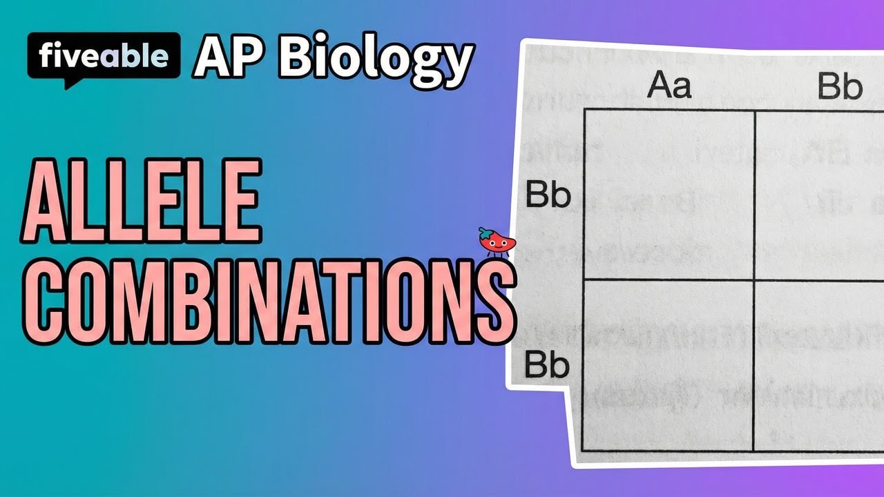 AP Biology - Punnett Squares & Allele Combinations | Fiveable Cram Archive