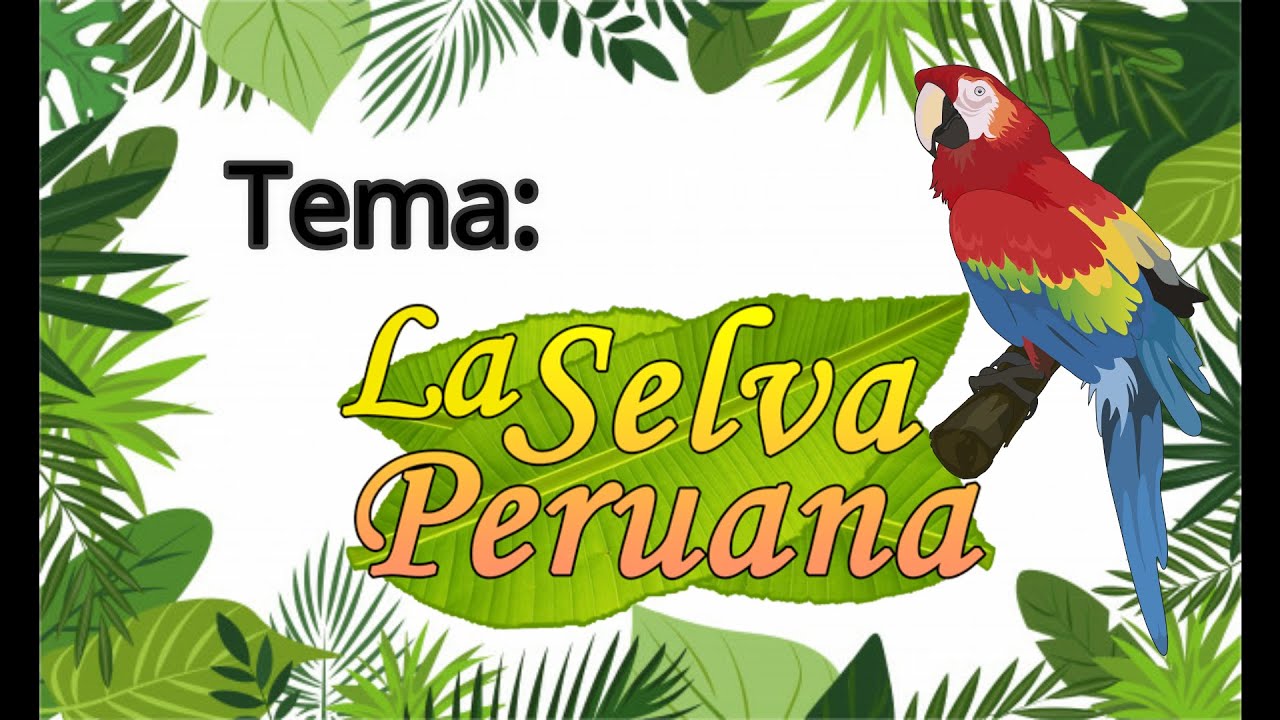LA REGIÓN SELVA/ Clases virtuales/ inicial 5 años - YouTube