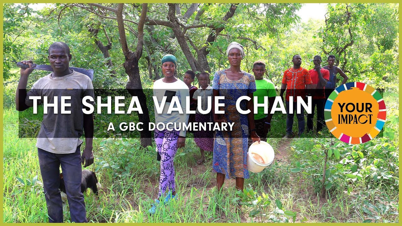 Enhancing the Shea Value Chain - GBC Documentary - YouTube