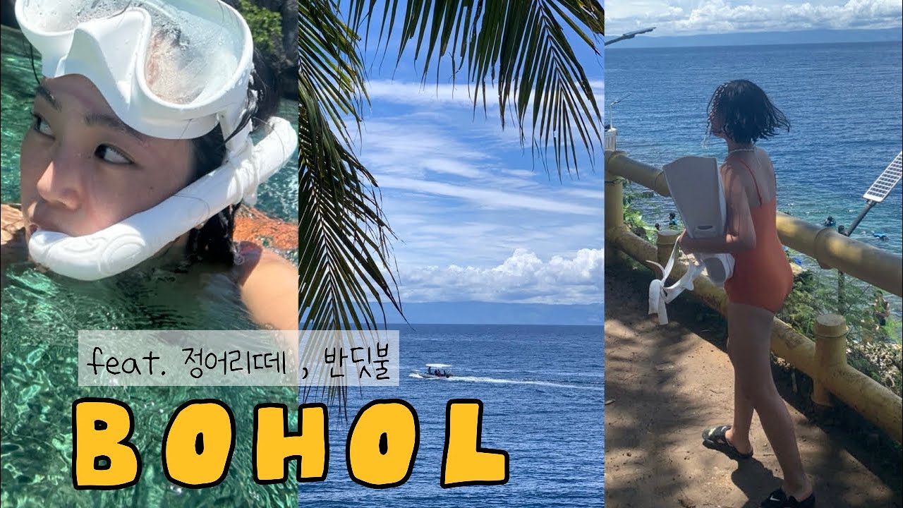 보홀 여행브이로그 Ep3 🇵🇭 나팔링투어 정어리떼 팡라오 보홀연스파 반딧불투어 코코비다 알로나비치맛집 Youtube