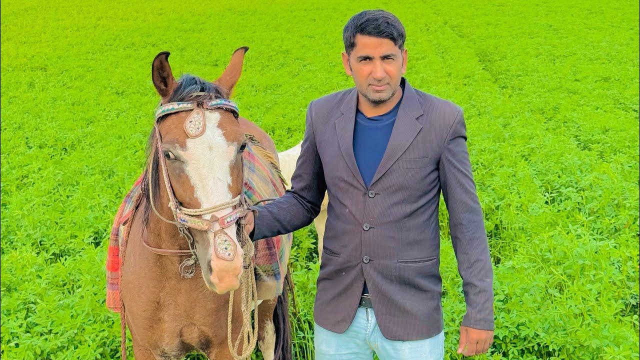 Pakistan village life Pakistani vlog, vlogs,blogger,vlogs pakistani ...