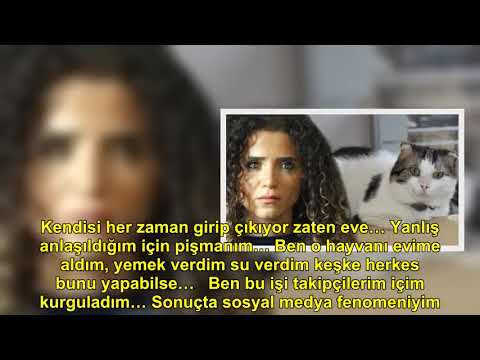 Sokak kedisini zorla eve kapatmıştı! Nilay Toprak kendini böyle savundu