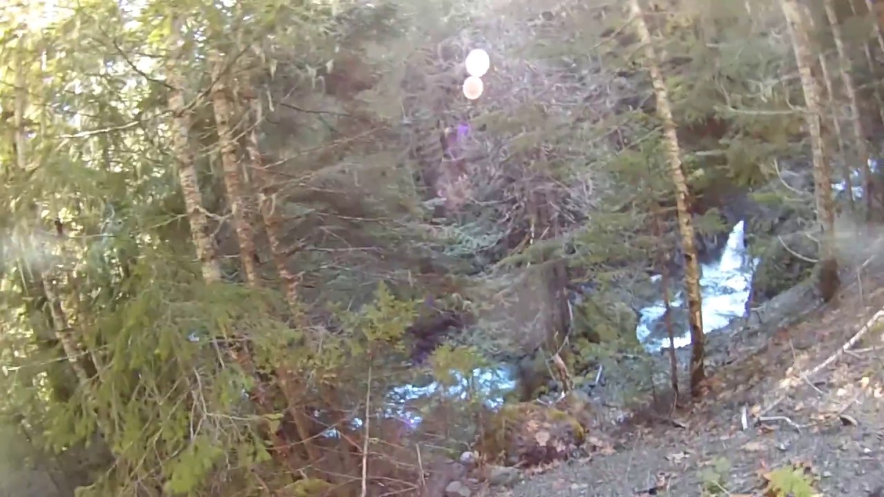 Winter Hike to Dosewallips Falls - YouTube