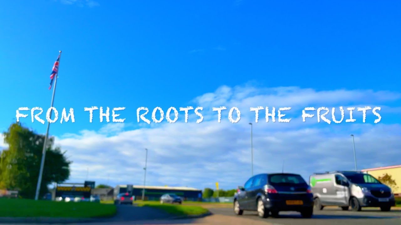 HENRY GATA - From The Roots To The Fruits [Official Lyric Video] - YouTube