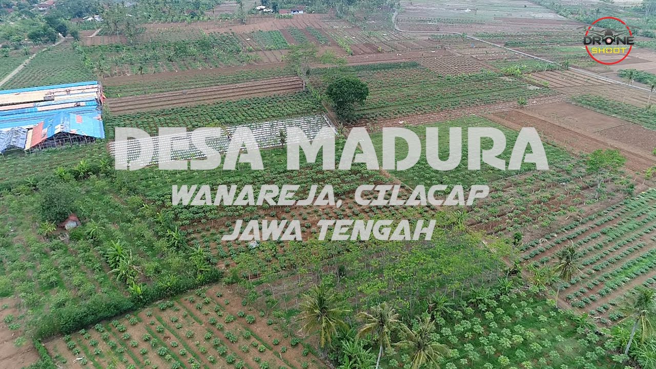 Desa Madura Menuju Desa Agrowisata Lewat Program DCML Damandiri - YouTube