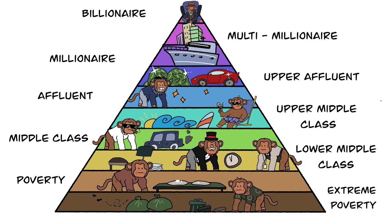 Every Level of Wealth Explained by Monkeys - YouTube