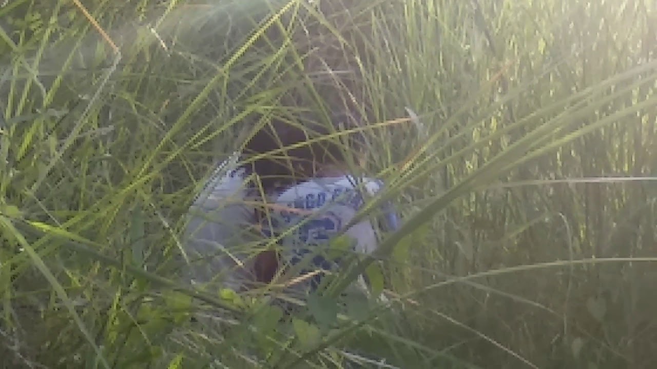 Ngintip Orang Mesum di Semak - Semak - YouTube