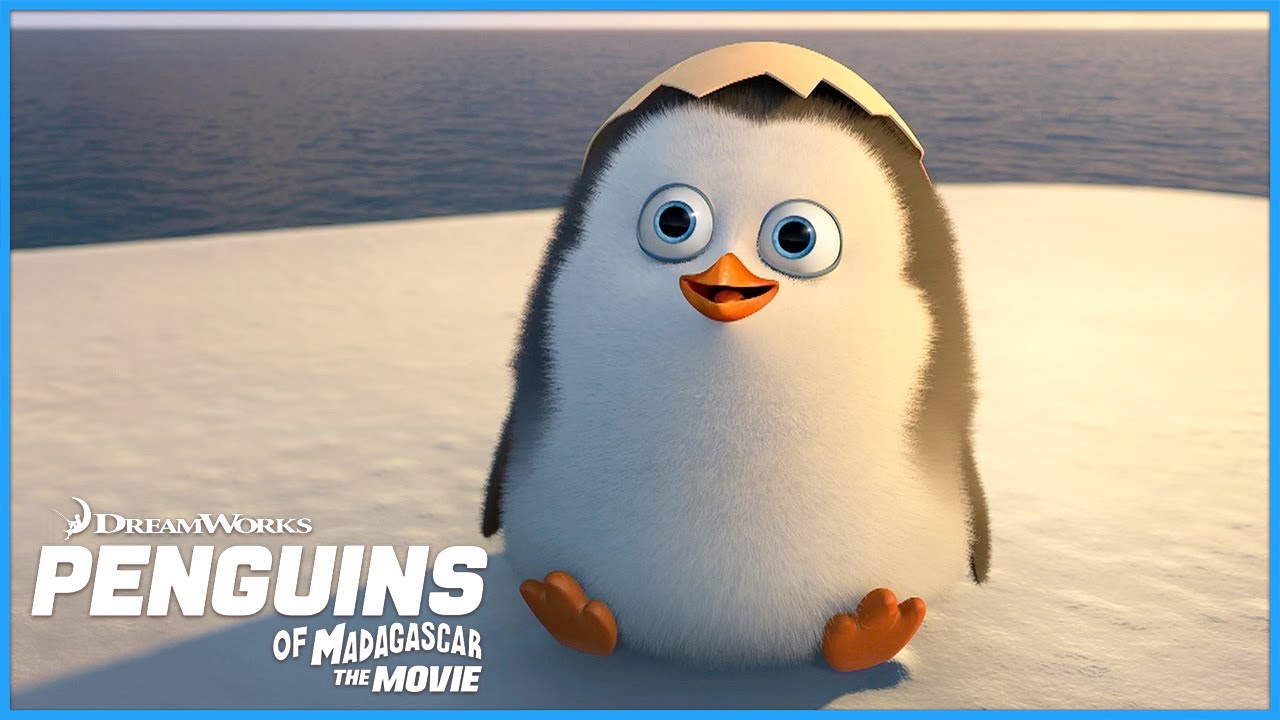 The Best of Penguin Private | DreamWorks Madagascar - YouTube