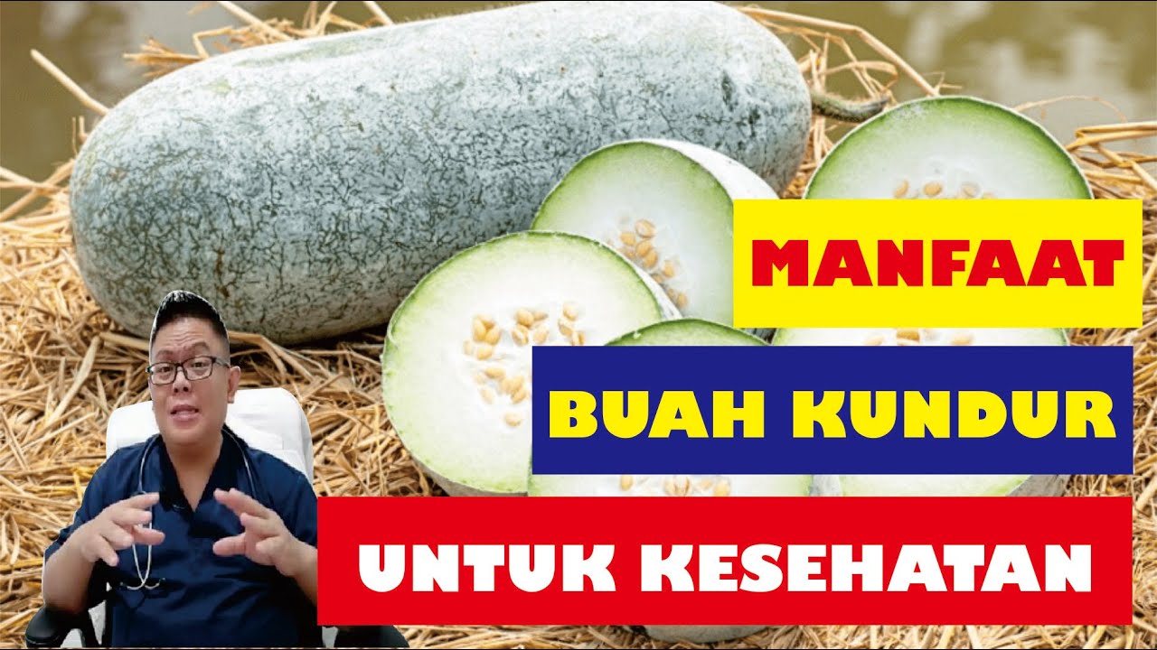 MANFAAT BUAH KUNDUR UNTUK KESEHATAN - YouTube