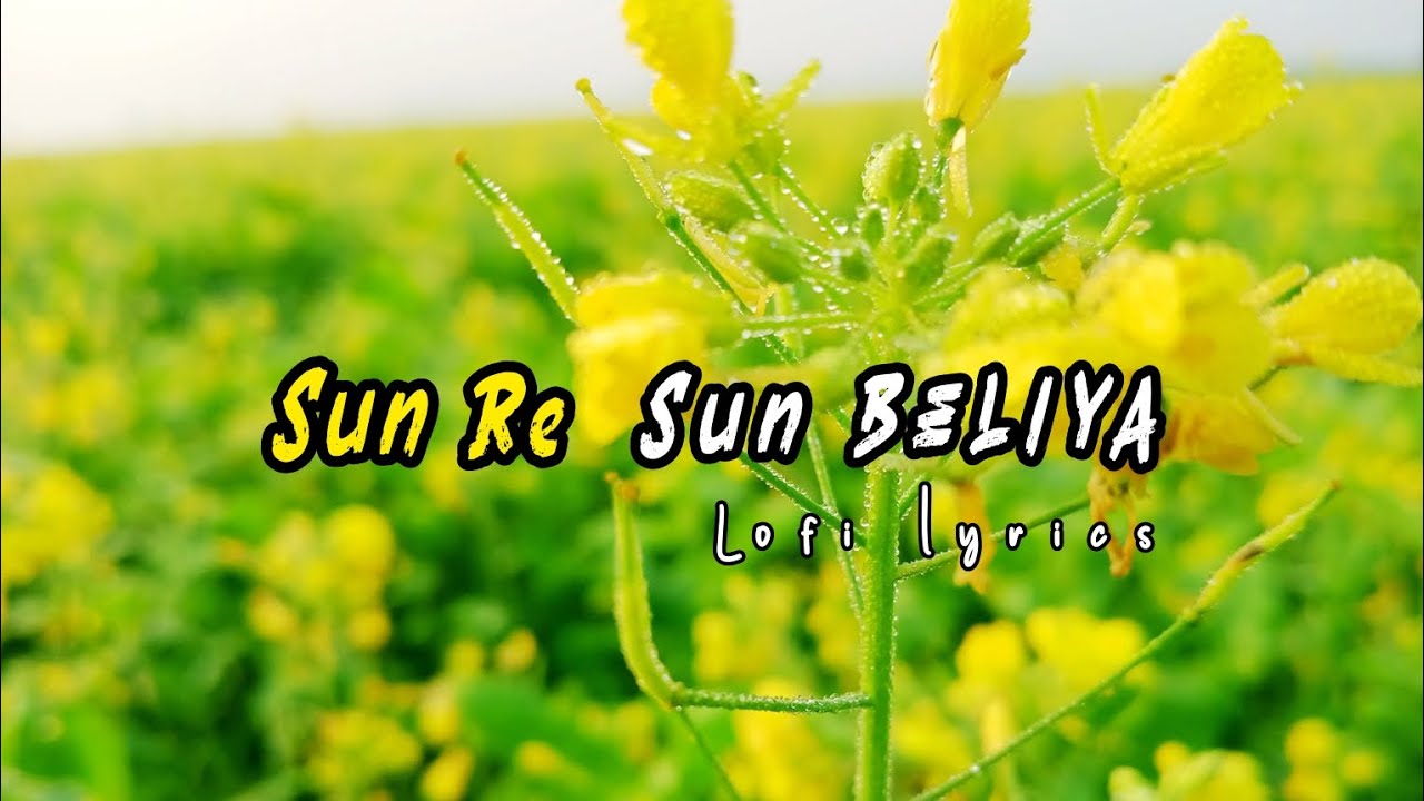 Sun Re Sun Beliya 🖤| Village view| Lofi song| Lyric: Beautiful View ...