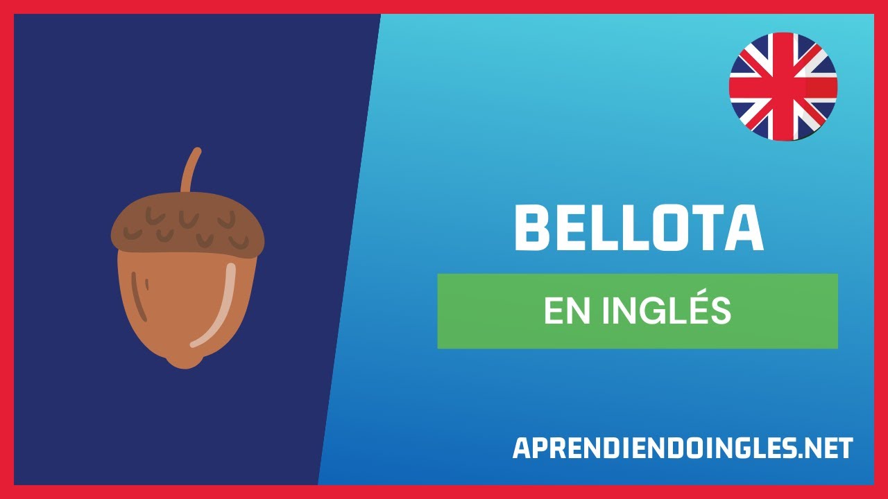 CÓMO se dice BELLOTA en INGLÉS 2023 🚀 APRENDE A ESCRIBIR ACORN ...