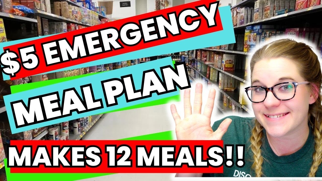 $5 Meal Plan | EXTREME EMERGENCY BUDGET CHALLENGE | Lunch & Dinner ...
