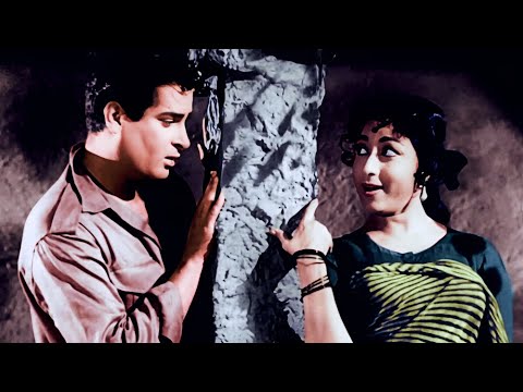 Shammi Kapoor - दिल तेरा दीवाना है सनम 4K | Mohammad Rafi, Lata ...