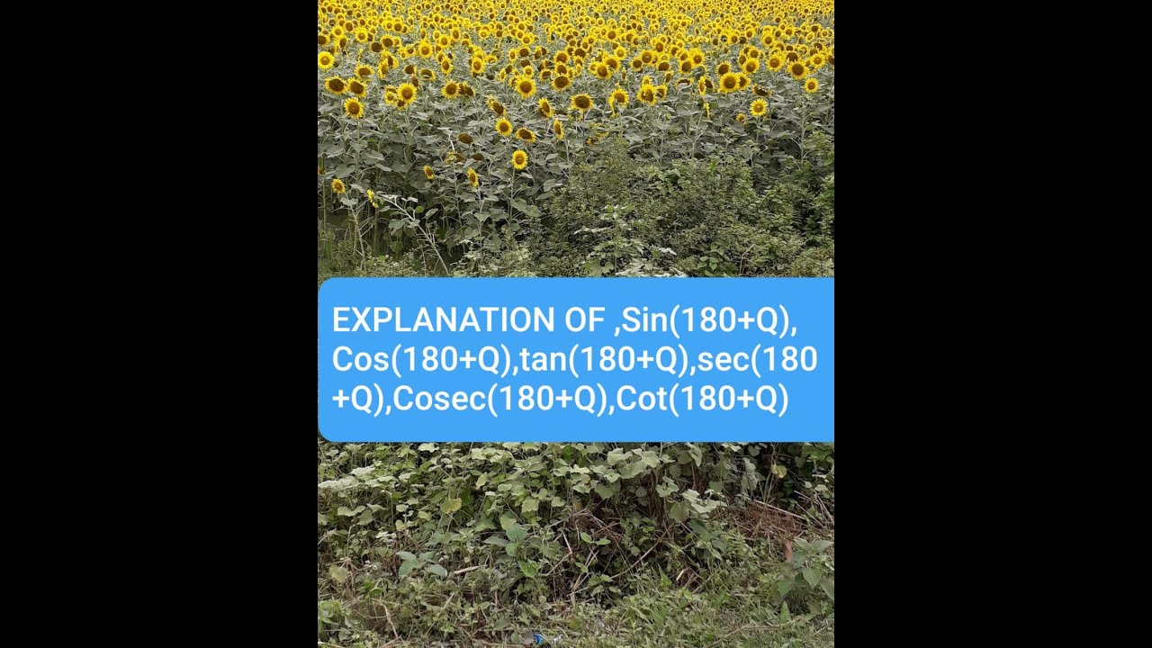 TRIGONOMETRY MAN LIKE sin(240),sin(210),sin(225),sin(270),sin(180),cos ...