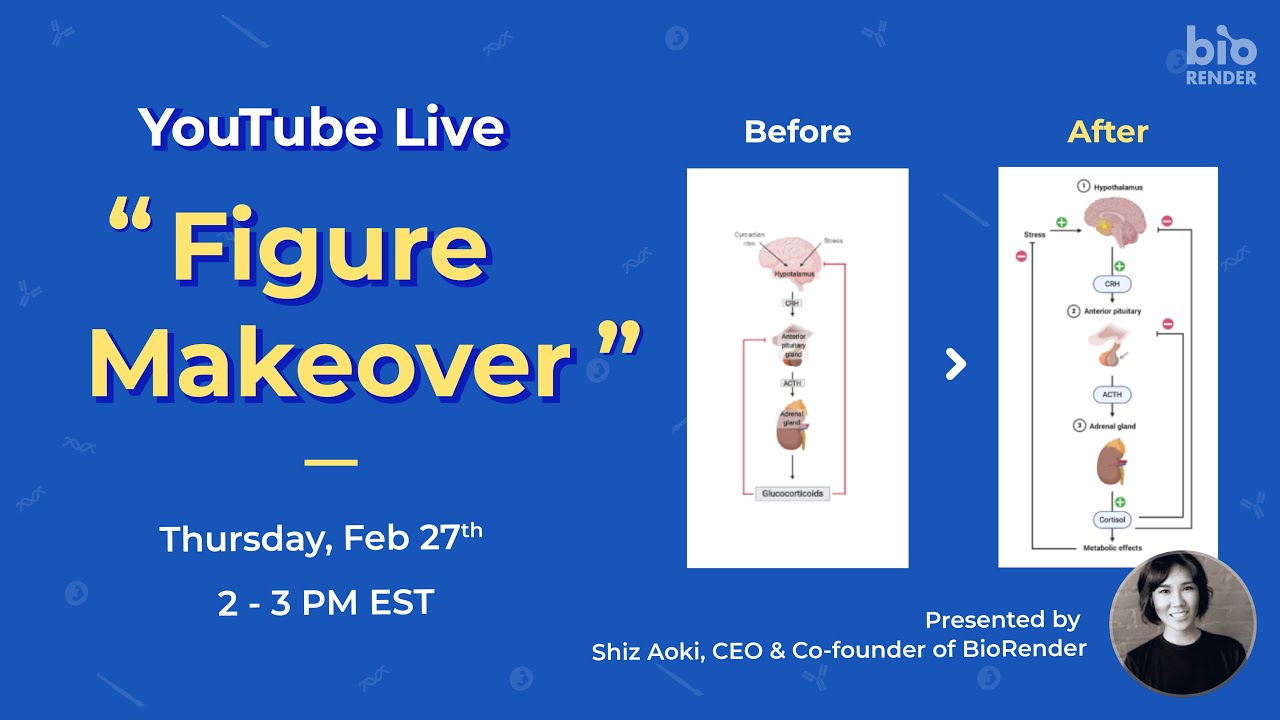 BioRender Live "Figure Makeover"! - YouTube