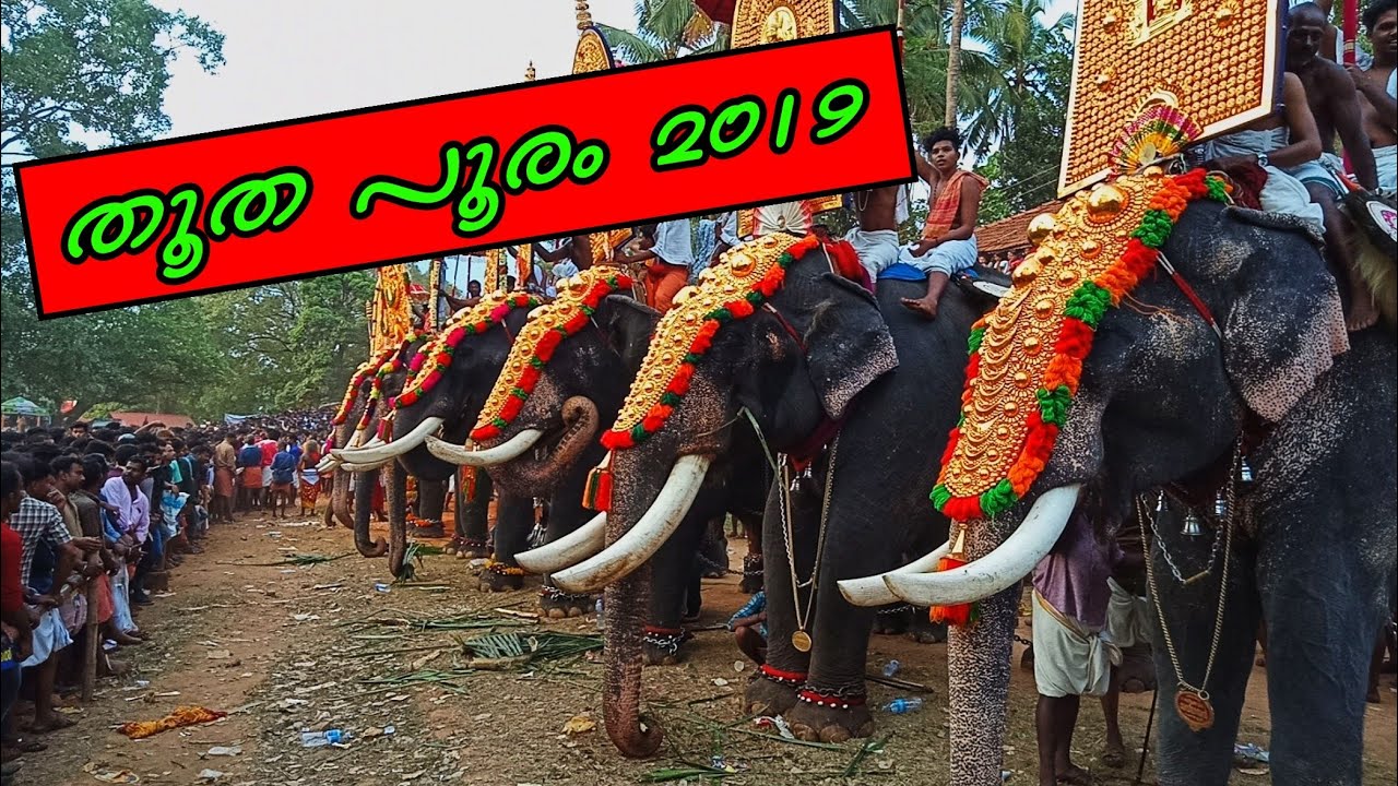 Thootha Pooram 2019 | തൂതപൂരം 2019 | - YouTube