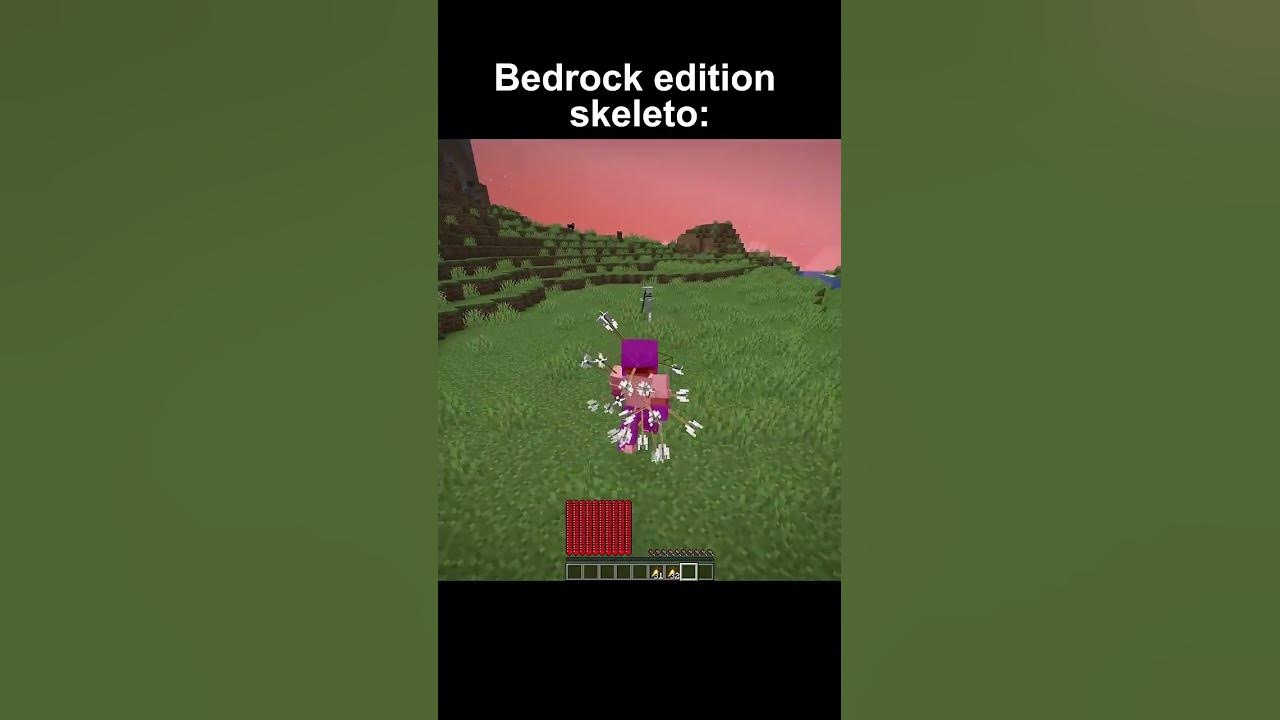 MINECRAFT JAVA EDITION VS BEDROCK EDITION - YouTube