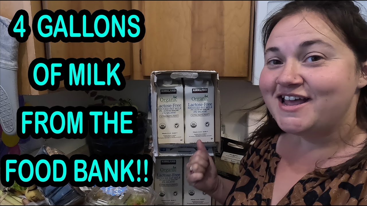 Real Life: Food Bank Grocery Haul & What I Cooked! - YouTube