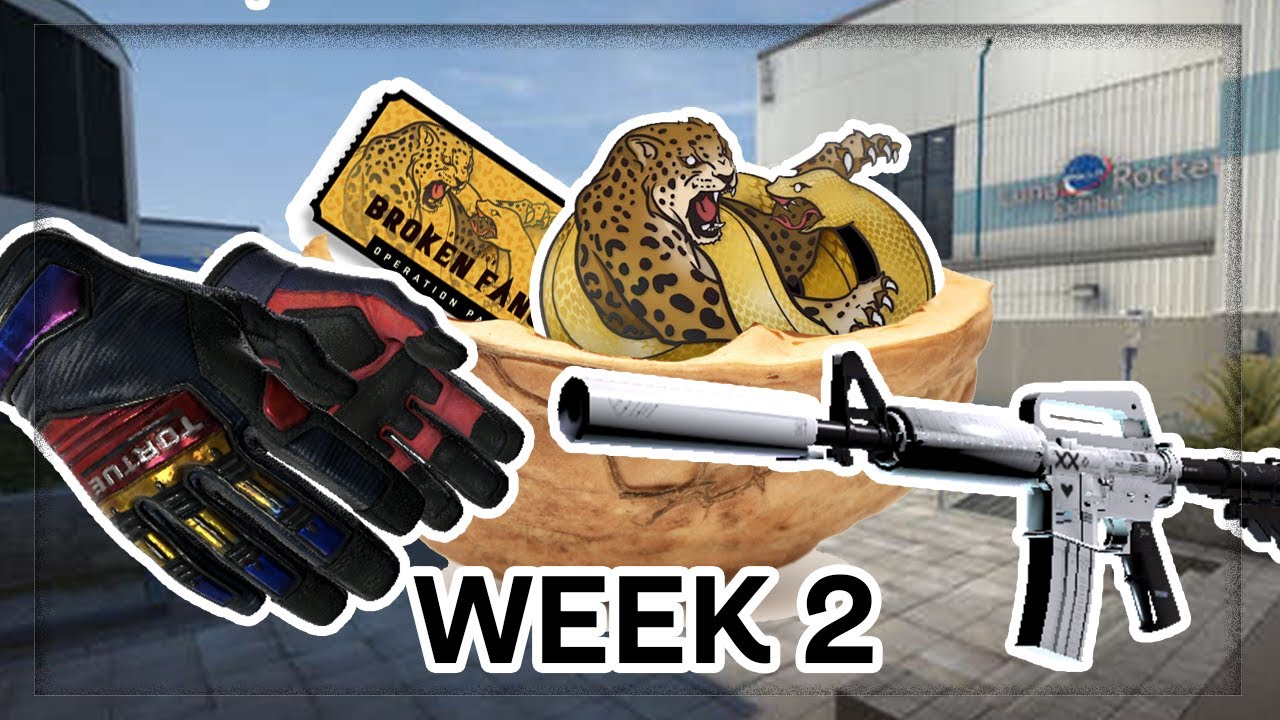 Operation Broken Fang Week 2 in a Nutshell - YouTube
