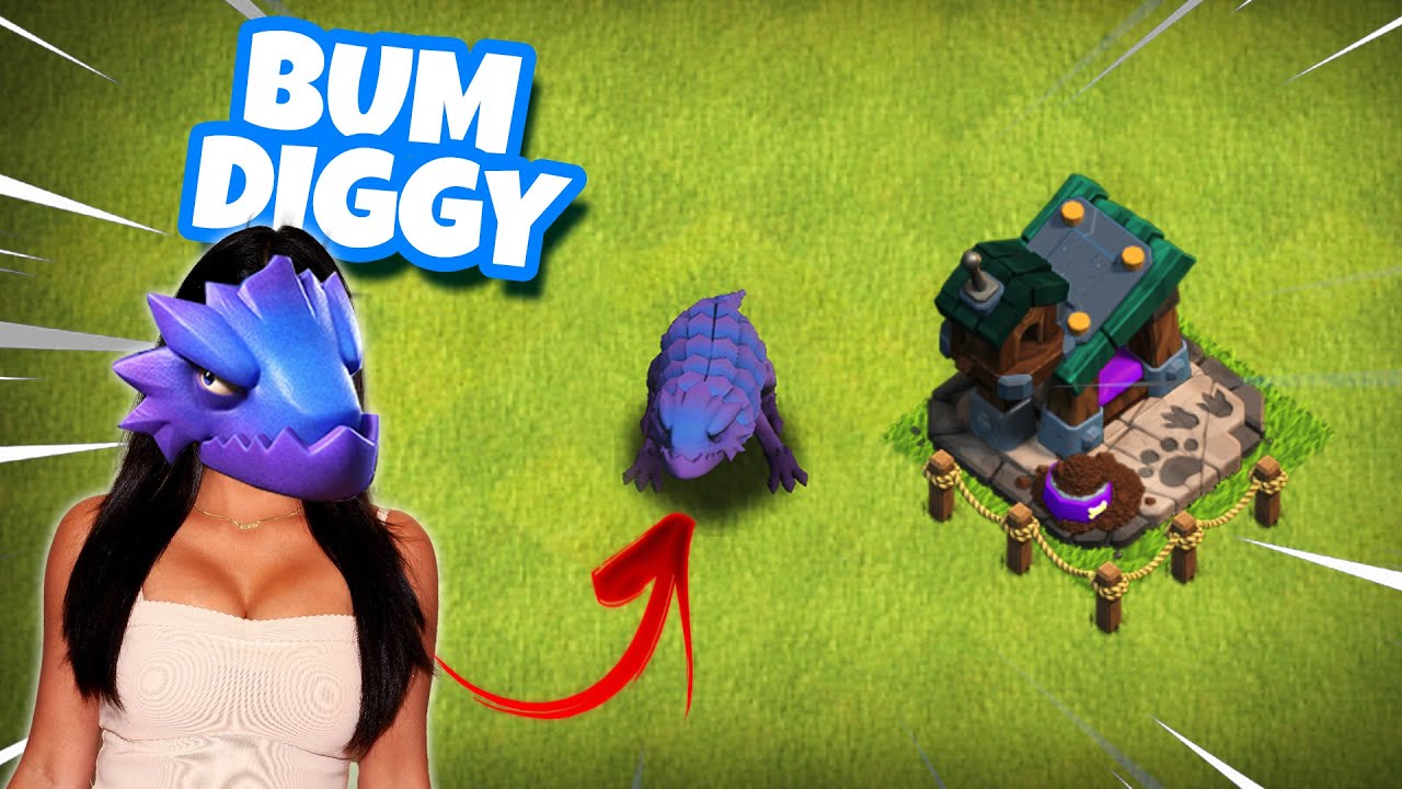 WE GOT THE DIGGY PET IN COC ITS FUN TIME - YouTube