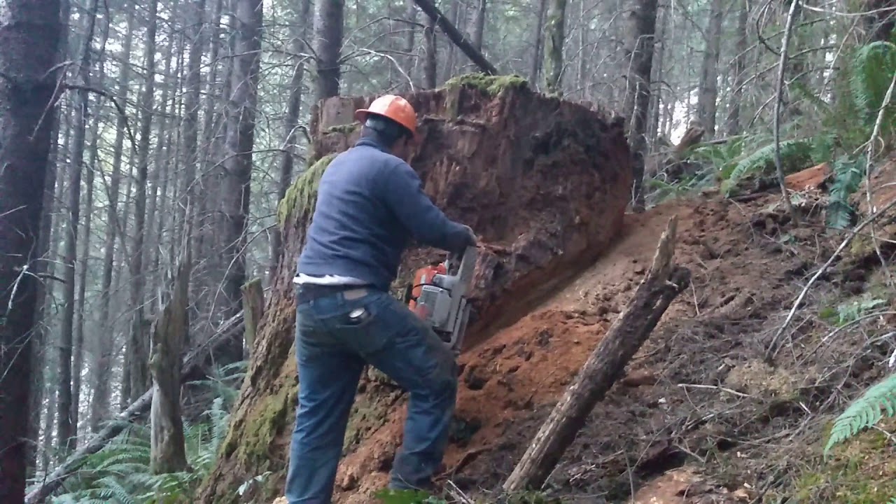 Tail hold Logging - YouTube