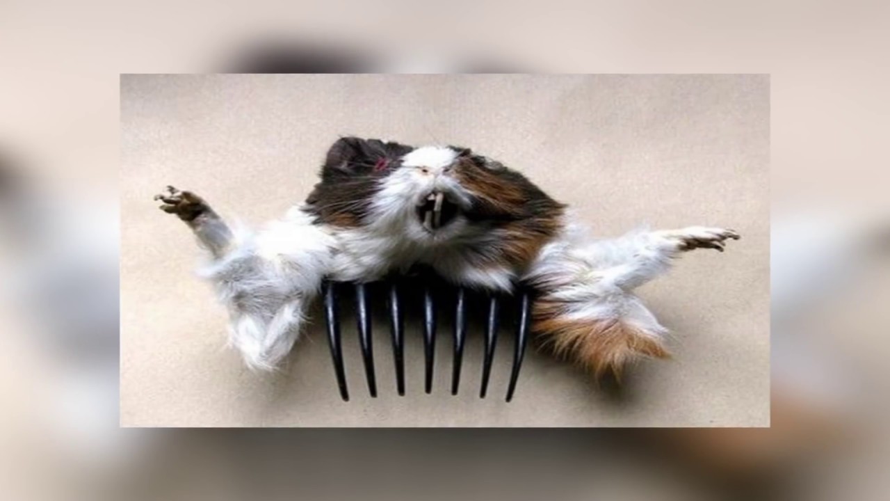 20 Creepiest Photos Ever - YouTube