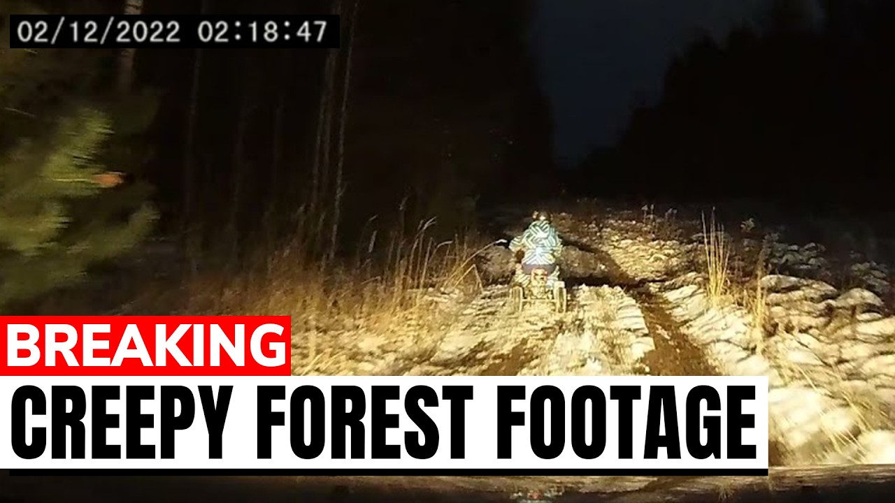 1 Hour of Most DISTURBING Forest Encounters Caught on Camera! - YouTube
