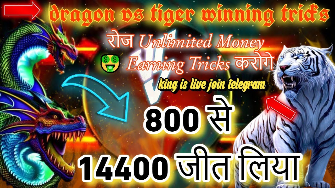 dragon 🐲 vs tiger 🐯tricks 800 से 14400 जीत लिया | dragon vs tiger ...
