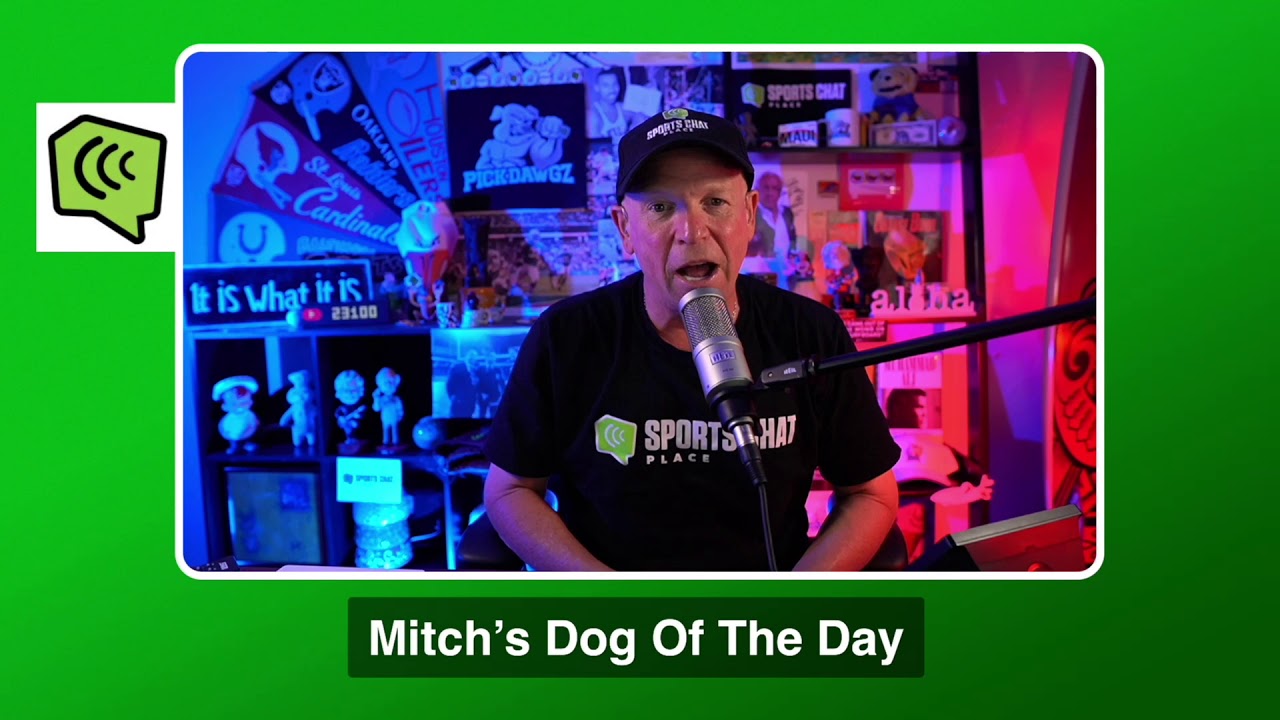 Mitch's Dog of the Day 10/25/20: Free NFL Pick NFL Picks, Predictions ...