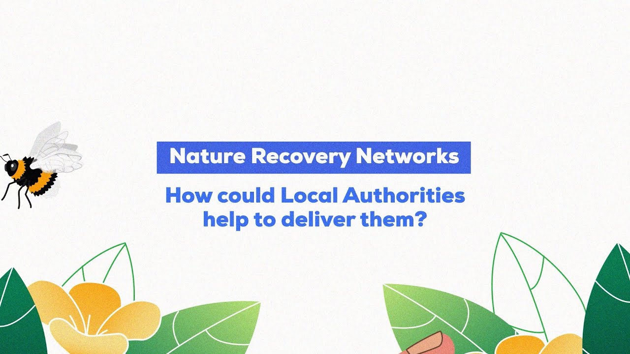 Local Authorities & Nature Recovery Networks in Northern Ireland - YouTube