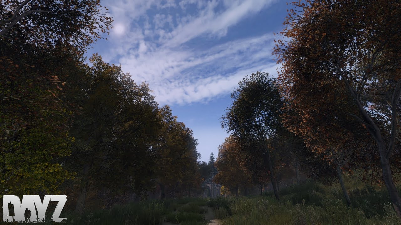 DayZ Ambient Walking ASMR - YouTube