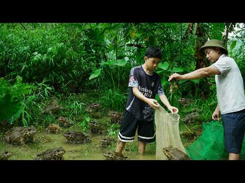 Uncle Chúc and his son went to collect their fishing nets, and the results were quite unexpected