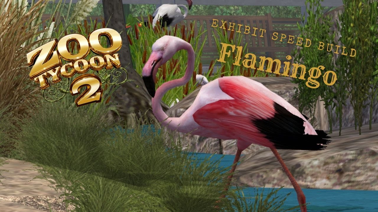 Zoo Tycoon 2: Flamingo Exhibit Speed Build - YouTube