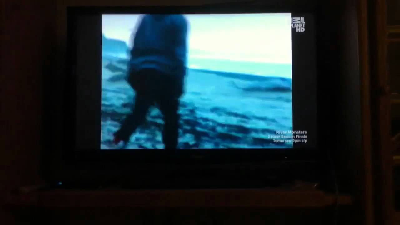 Proof that Mermaids are Real - Footage from "Mermaid the Body Found ...
