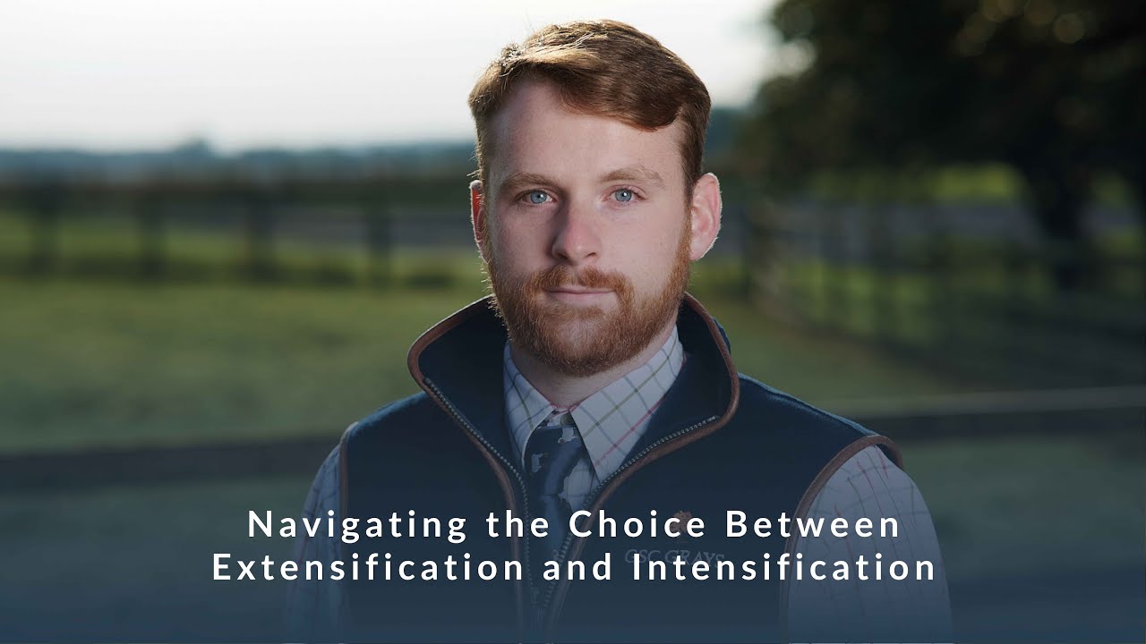 Navigating the Choice Between Extensification and Intensification - GSC ...