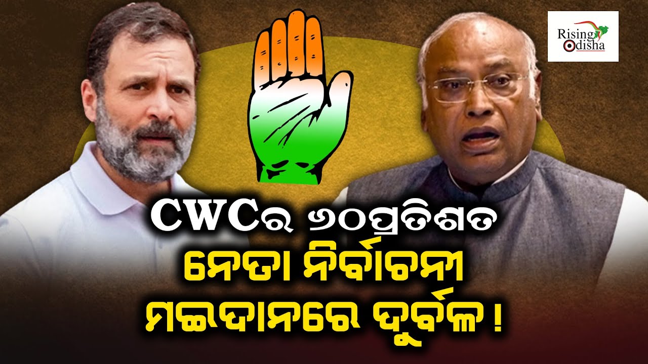 'CWC' Congress Working Committee Members List; 11 Never Fought ...