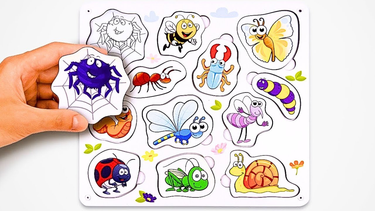 Best Learning Insect and Bug Names in English with Puzzles for Toddlers ...